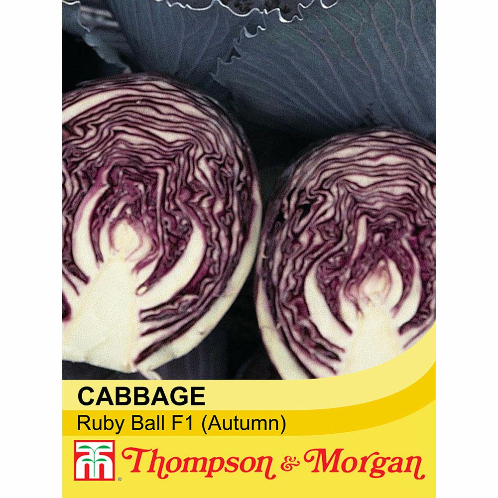 Cabbage Ruby Ball F1 Hybrid - ilminster